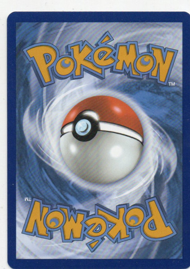 Pokemon Terapagos ex 165 SV Black Star Promos – Euro Elite Cards